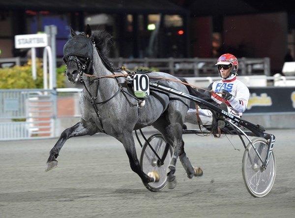 Andra raka segern för Gold Twister Andra raka segern för Gold Twister