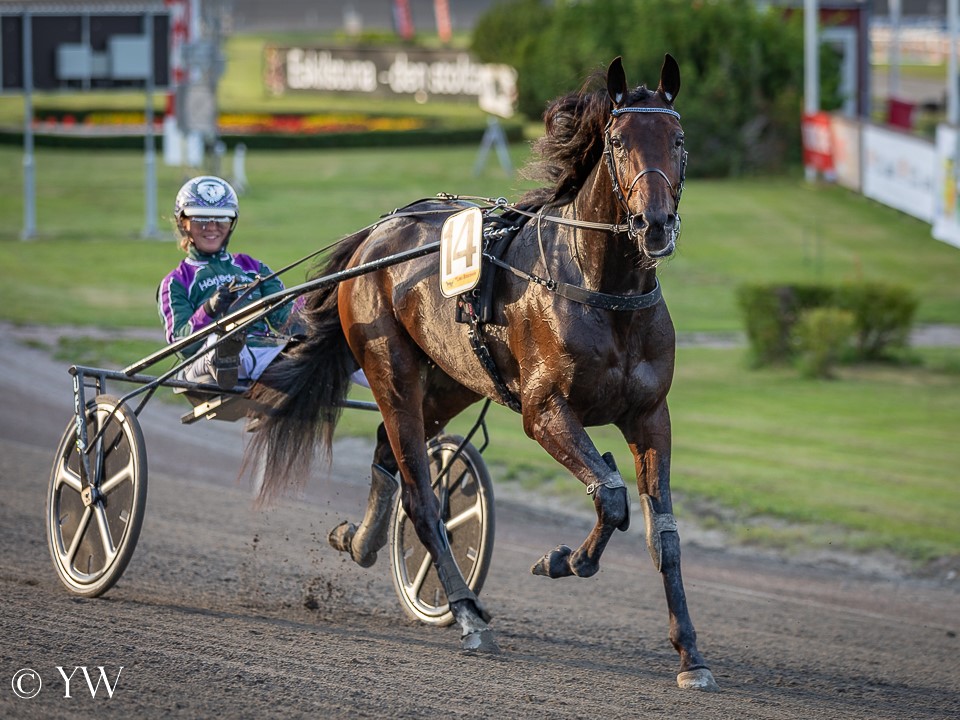 Seger på hemmabanan för Dallas Brick